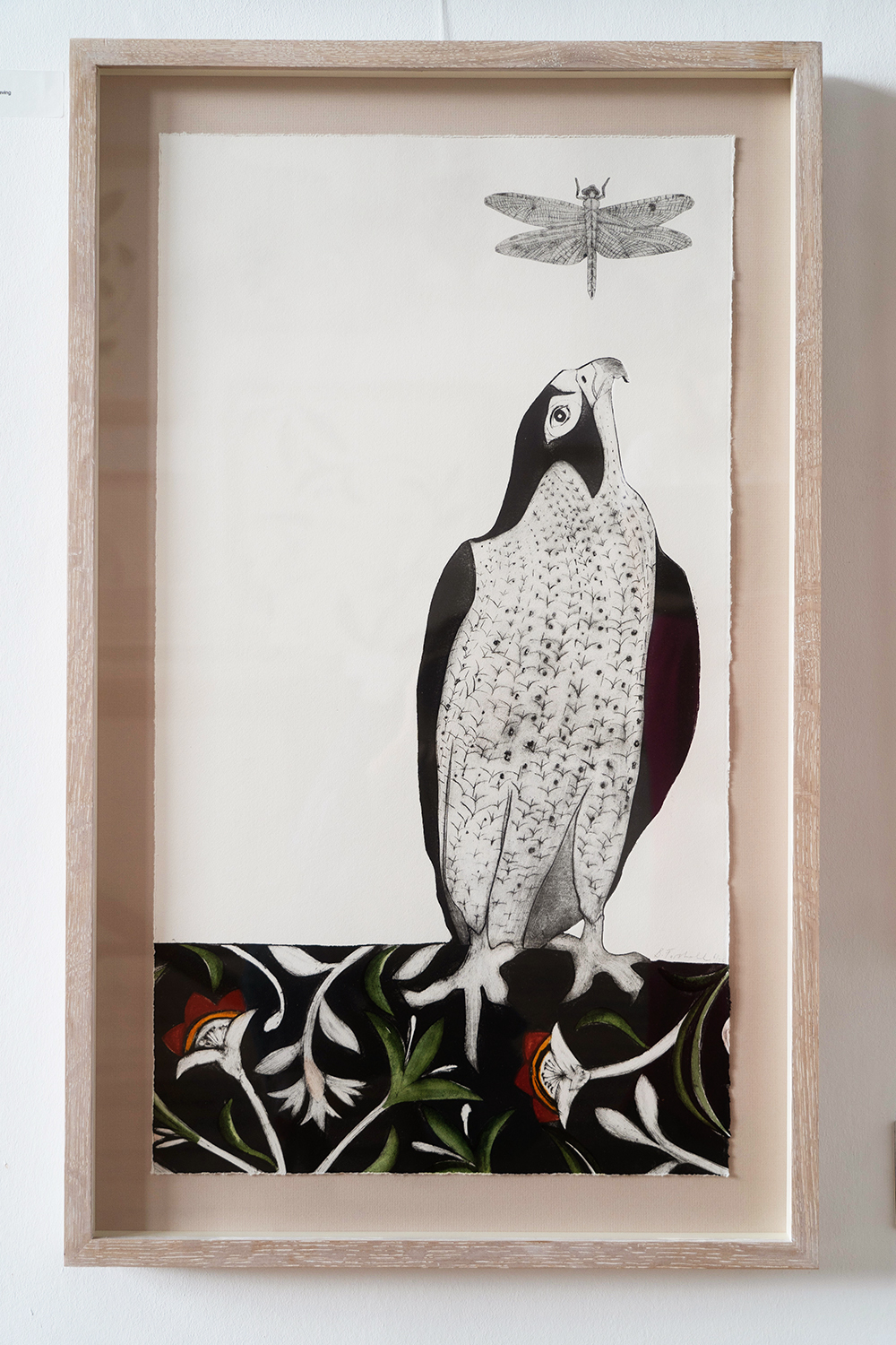 Amur Falcon - Beatrice Forshall